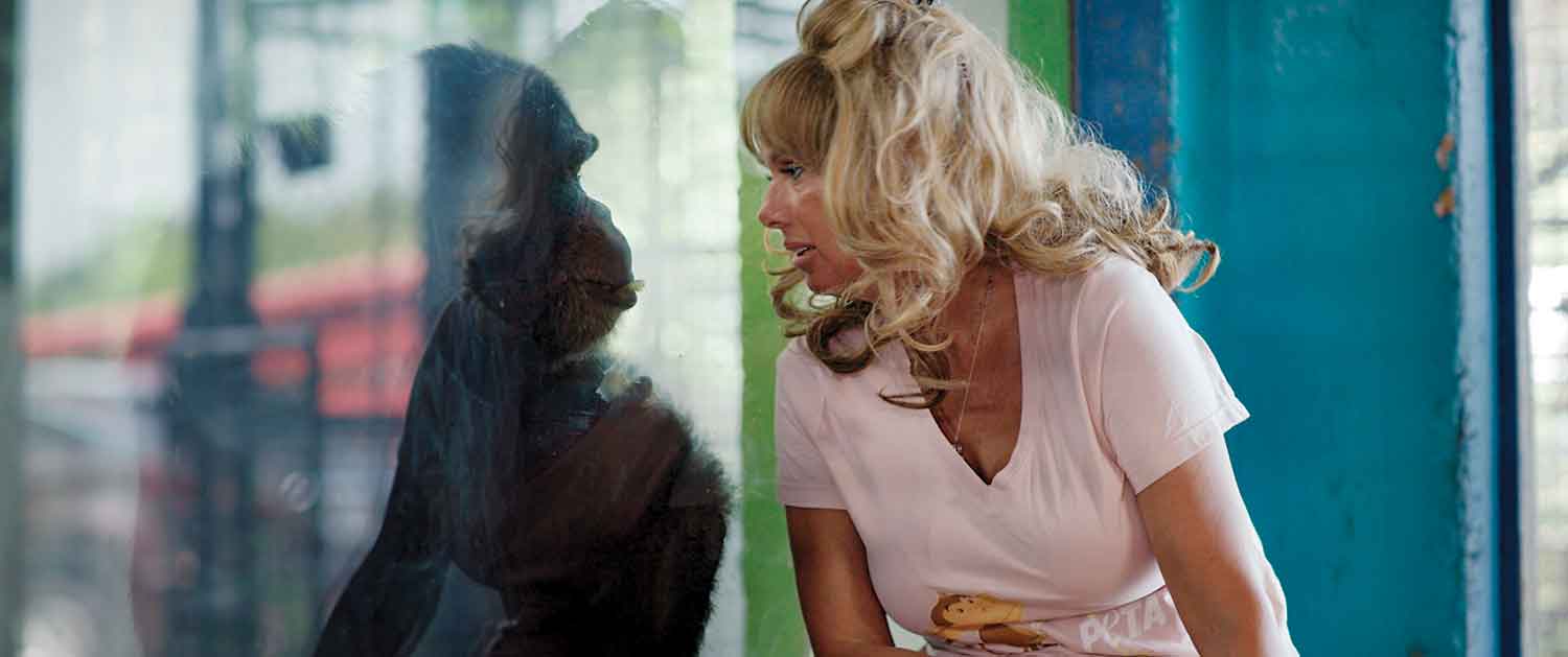 Chimp Crazy - TV Week